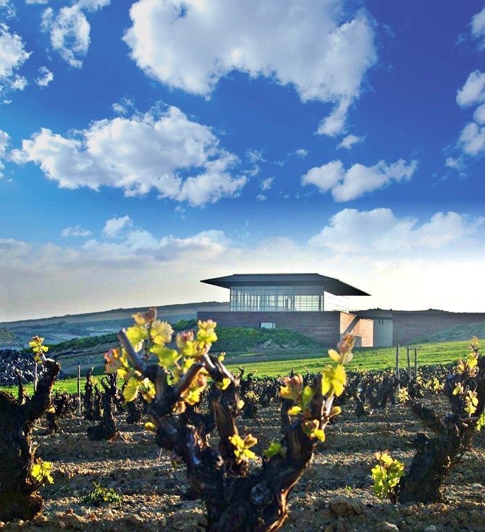 Bodegas Baigorri – Gastro Locals